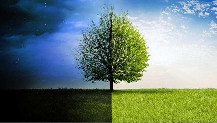 The Night and Day Difference