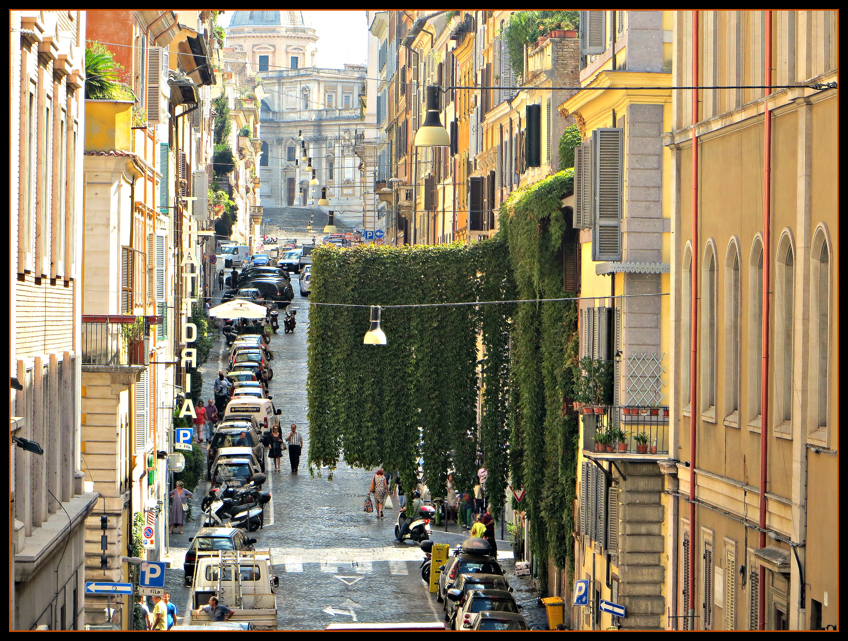 Saturday's Shots ~ The vines of ancient Rome