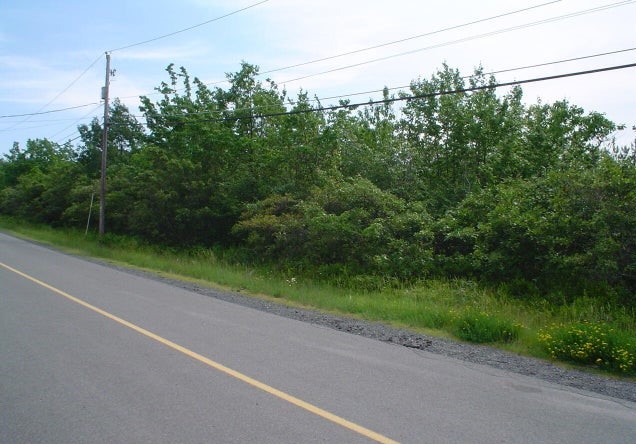 Beautiful Corner One Acre Lot Ideally Suited for Buildi