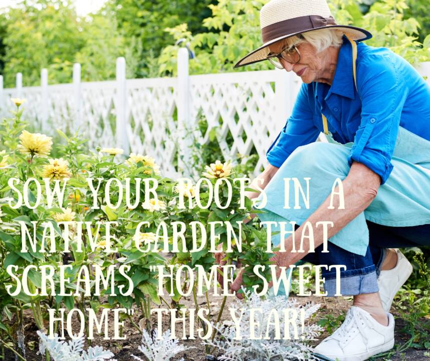 Mid-Atlantic Native Plants and Flowers to Plant This Sp