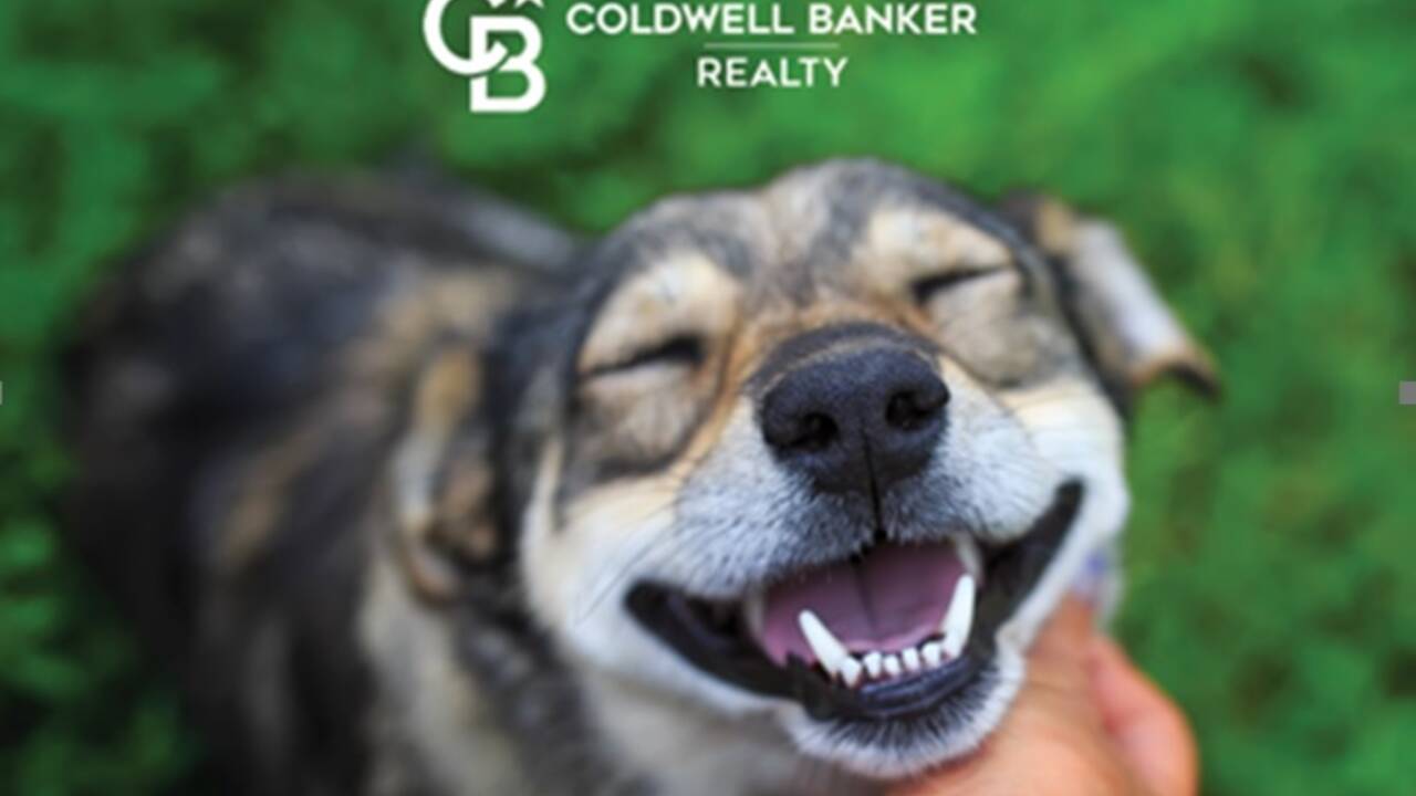 National Love Your Pet Day: February 20 - 2021