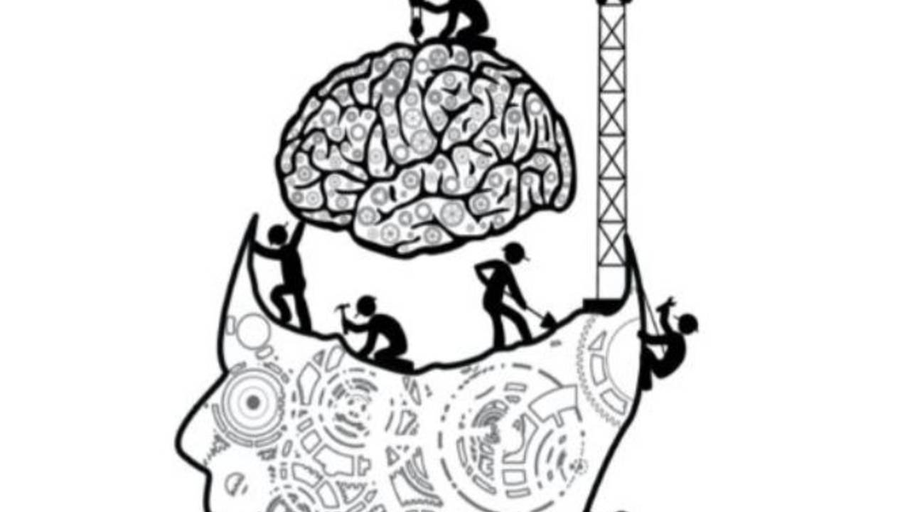 Modular Brain: Rewiring the Brain-A Better Way to Build