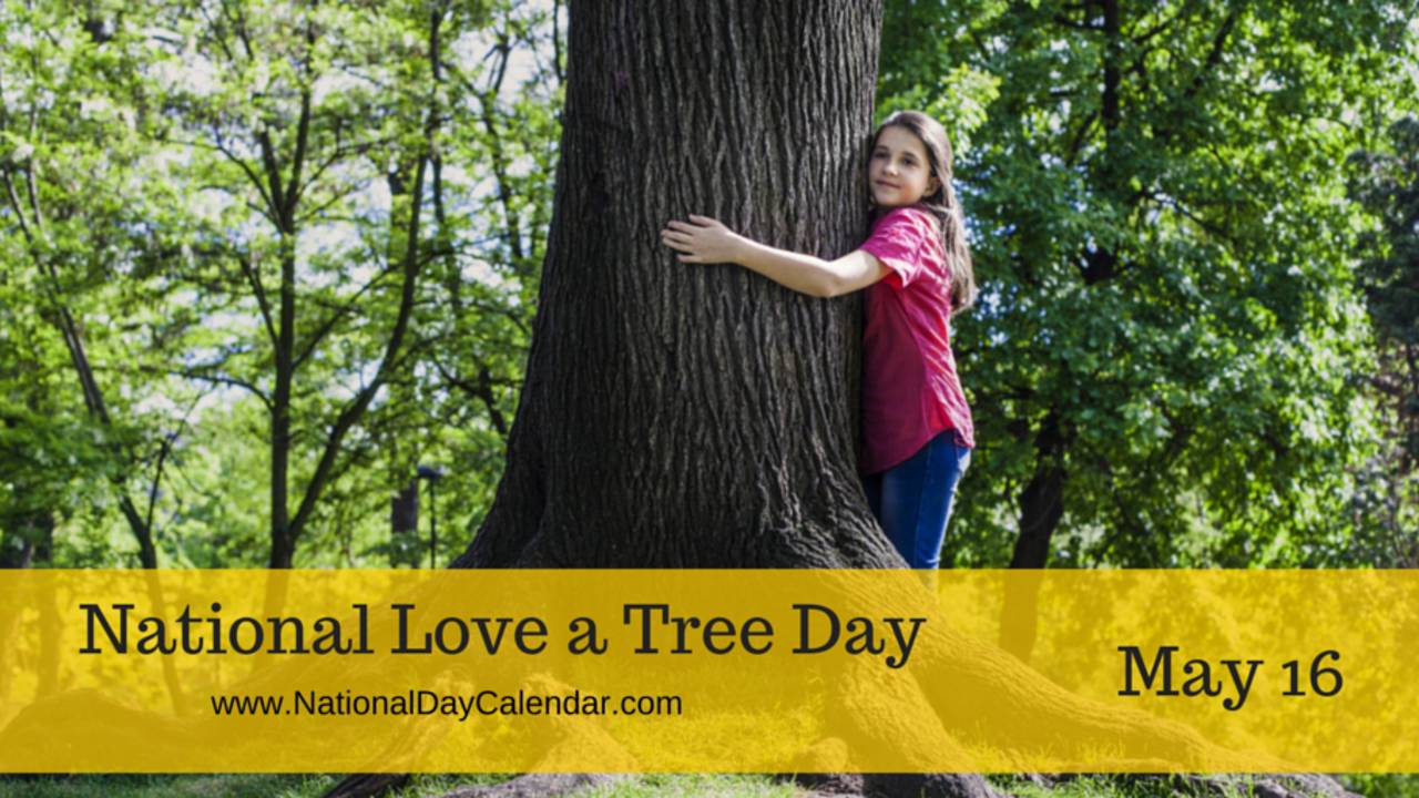 Thank a Tree on May 16 National Love a Tree Day