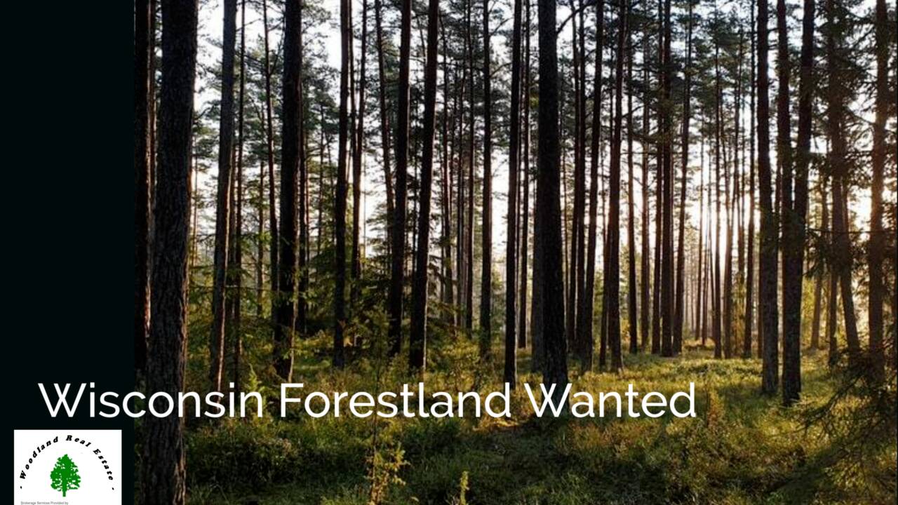 CLARK COUNTY FOREST HUNTING & TIMBER LAND WANTED! 2023