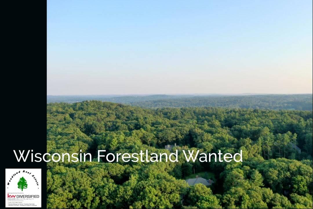 EAU CLAIRE COUNTY WISCONSIN FOREST HUNTING & TIMBER LAN