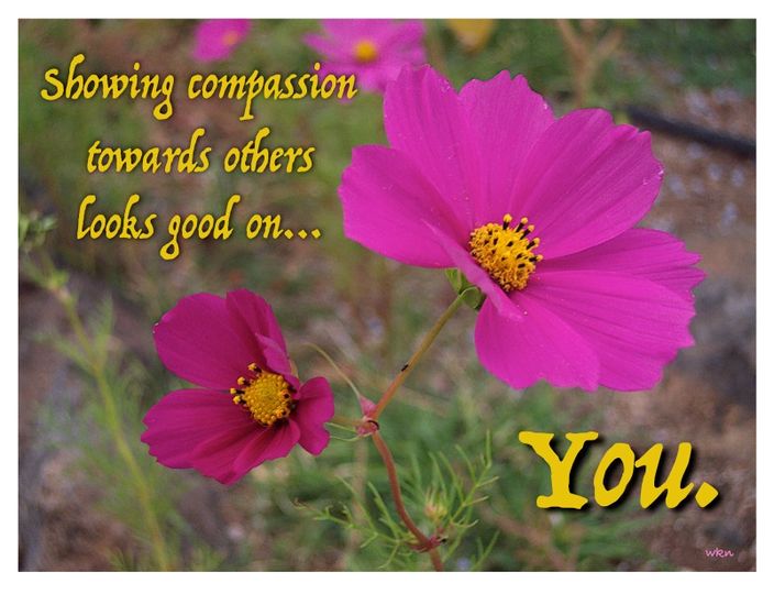 5 Benefits of Showing Compassion