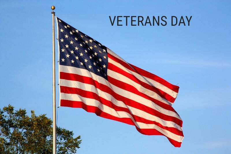 Veterans Day Military Review in Carlsbad