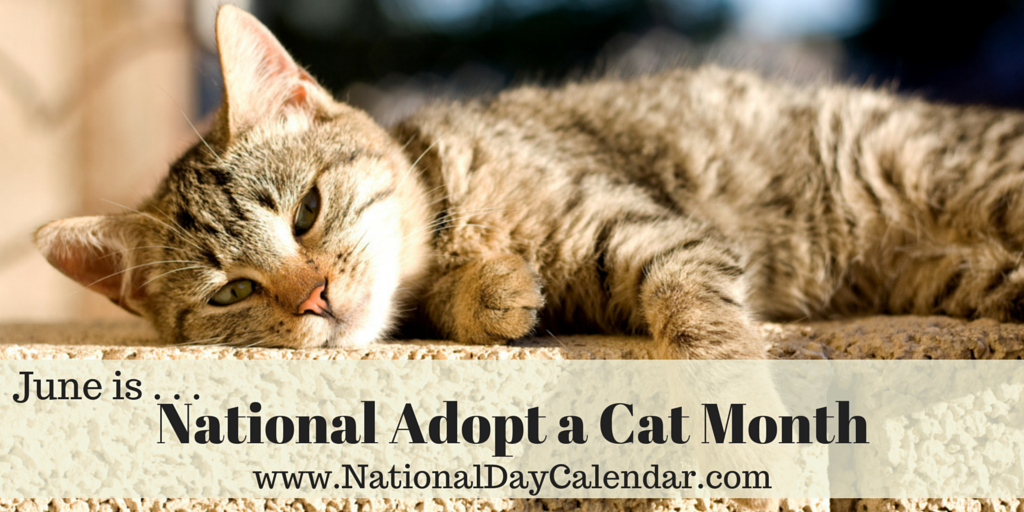 National Adopt A Cat Month In June,