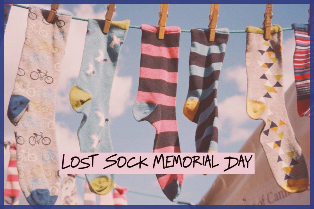 Honoring All The Lost Socks On Lost Sock Memorial Day!