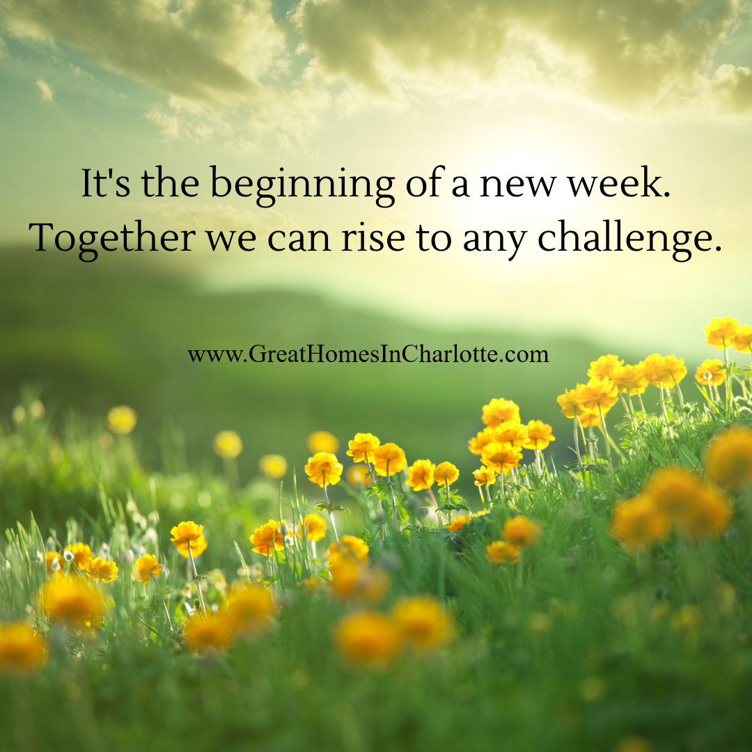 Monday Motivation Mondays Are The Best Day Of The Week Monday Motivation Mondays Are The Best Day Of The Week