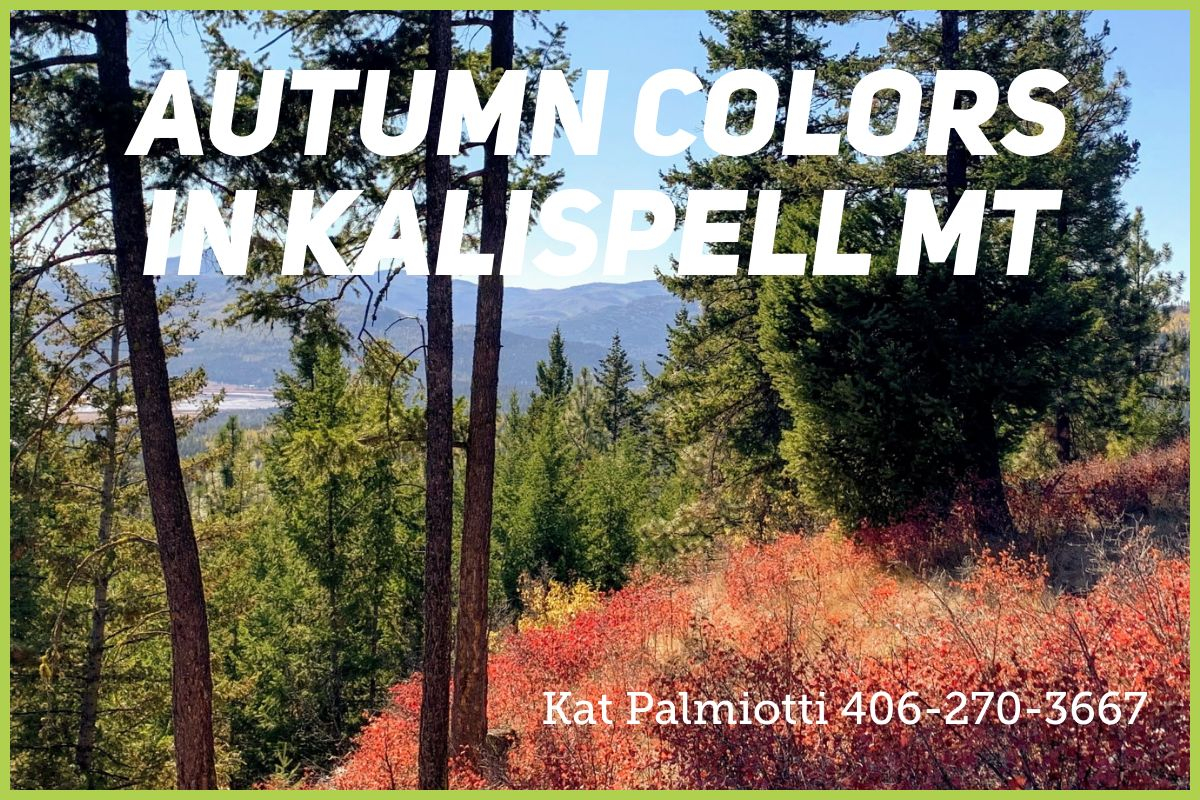 Autumn Colors in Kalispell MT