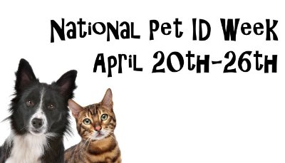 It's National Pet ID Week: April 20 - 26
