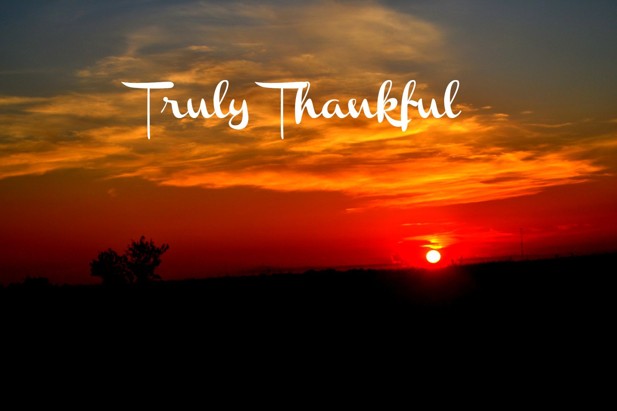 Truly Thankful Today