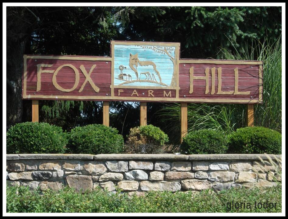 Fox Hill Farm 55+ Delaware County PA - August 2024