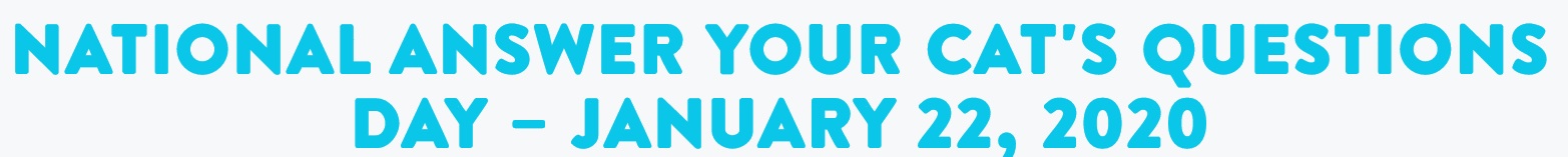 Does Your Cat Have A Question On Cat Answer Day?