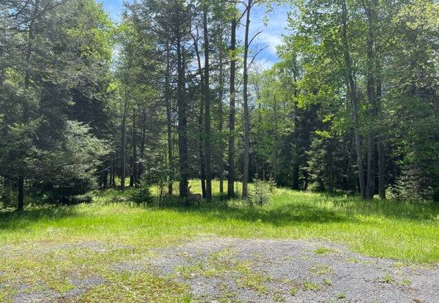 Level Double Lot 7.12 Acres Located in Wagner Forest Pa