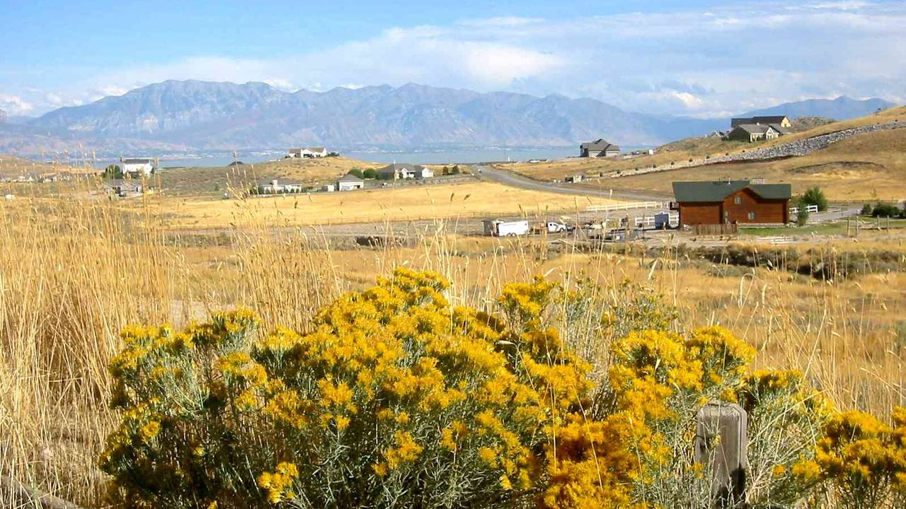 Cedar Pass Ranch Homes and Properties for Sale