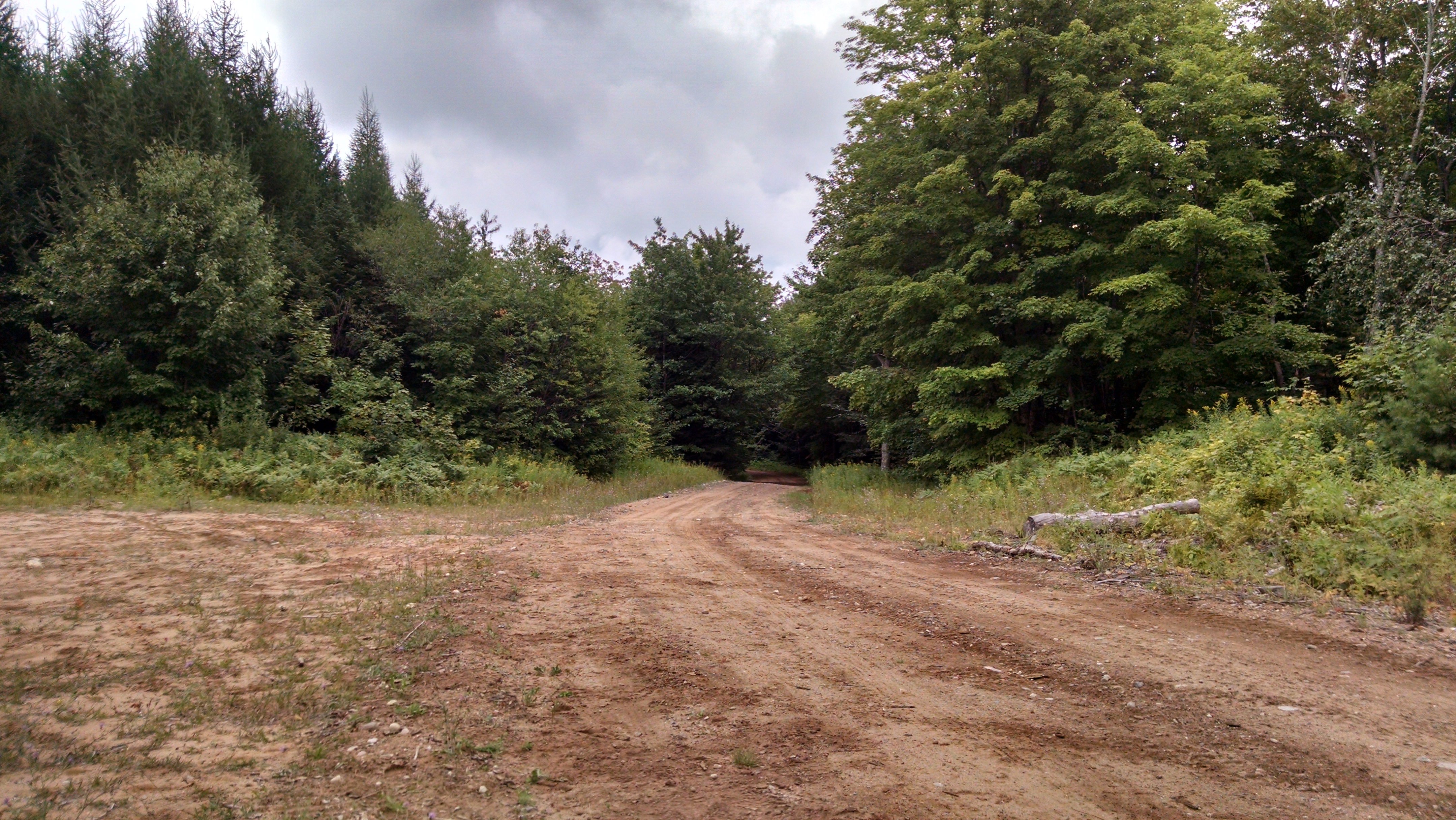 Iron County Michigan Forest Land Market Report Feb 2017