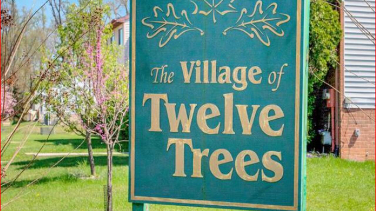 Twelve Trees 4 BR 31/2 Baths