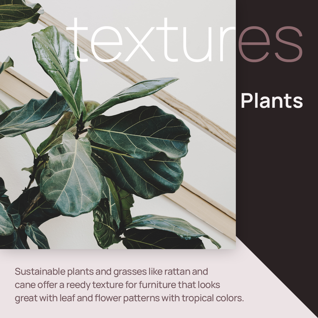 Textures: Plants
