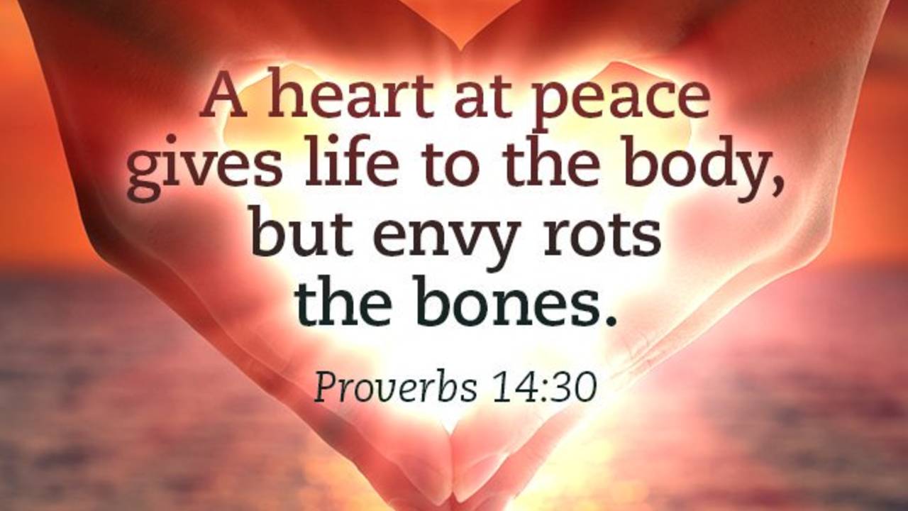 A HEART AT PEACE GIVES LIFE TO THE BODY