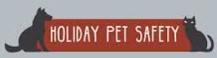 Tips To Keep Pets Pawsitively Safe During The Holidays