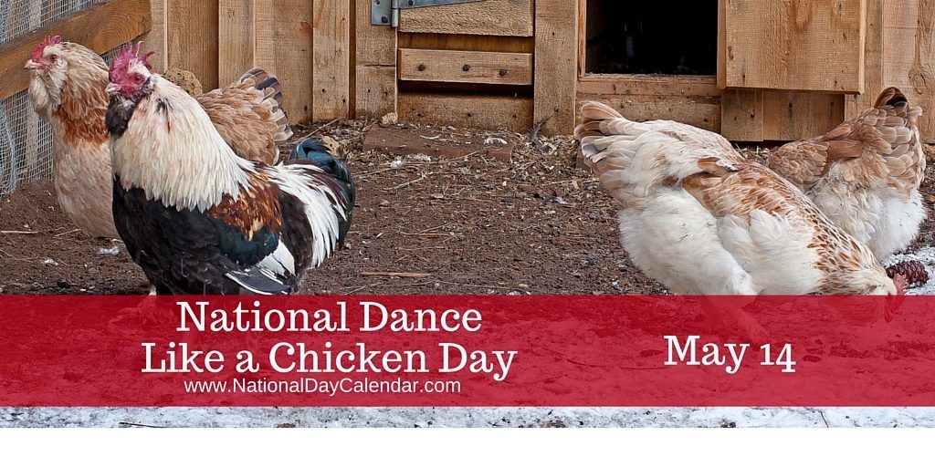 May 14 is National Dance Like a Chicken Day