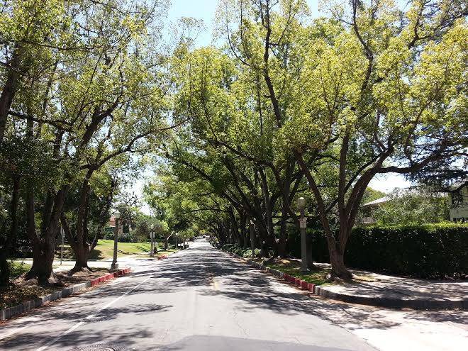 Pasadena Madison Heights Neighborhood