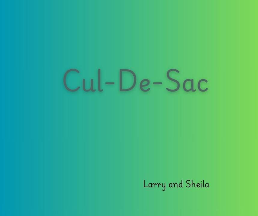 Long Island Cul-De-Sac Living