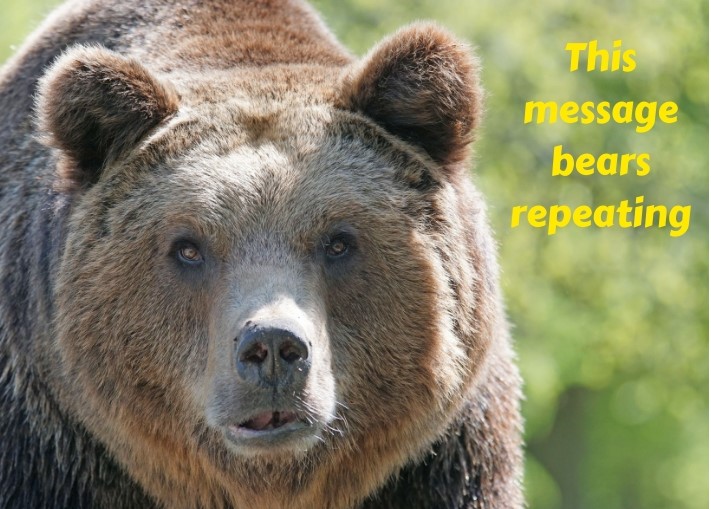 This Message is So Important, it Bears Repeating