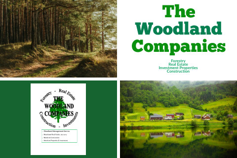 Profiting from Sustainable Forestry Investments!