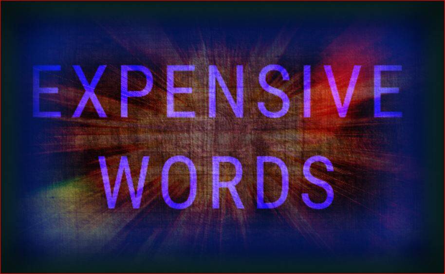 Four Most Expensive Words- While We Are At It