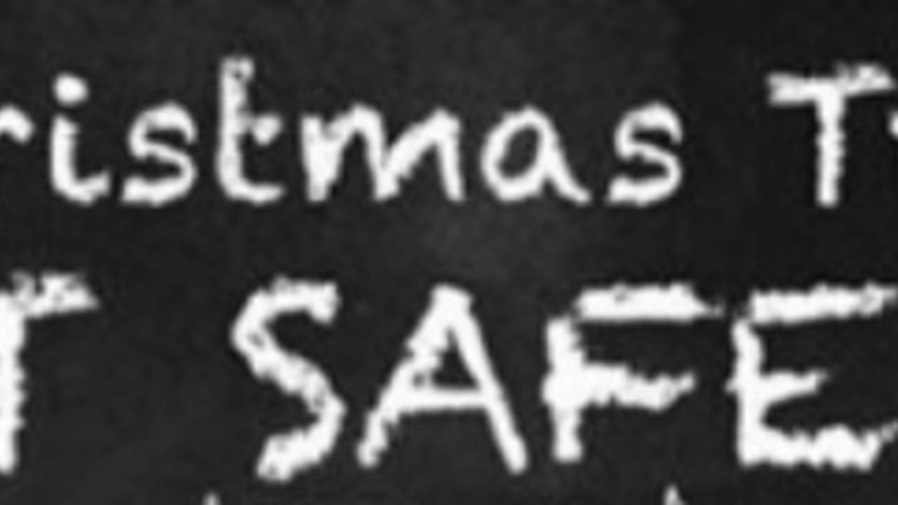 Tips For A "Pawsitively" Safe Christmas Tree