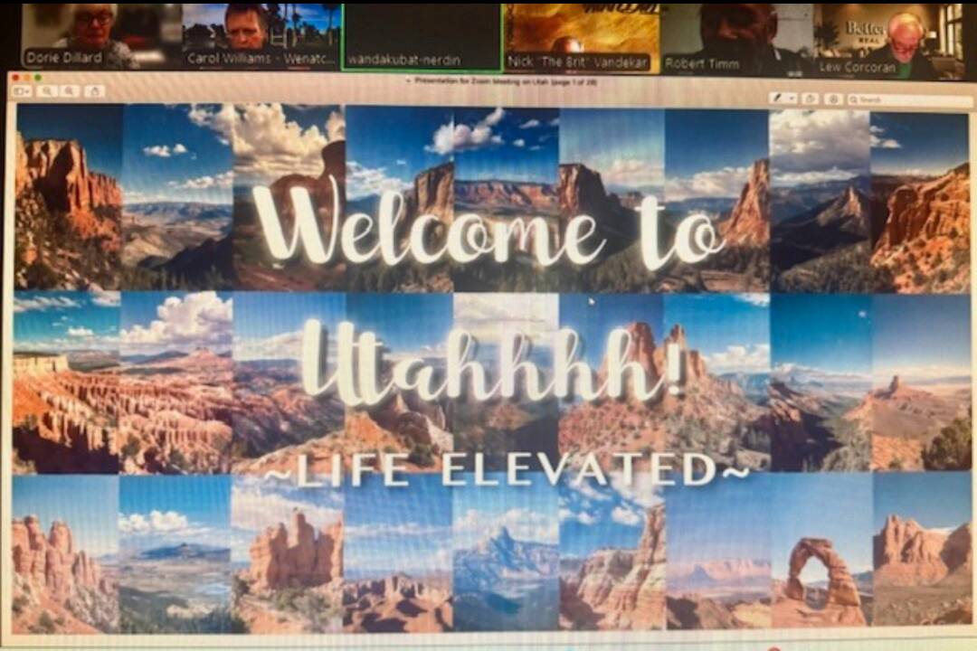 Raptor-icious Revelations: My Homework from Wanda’s Wil