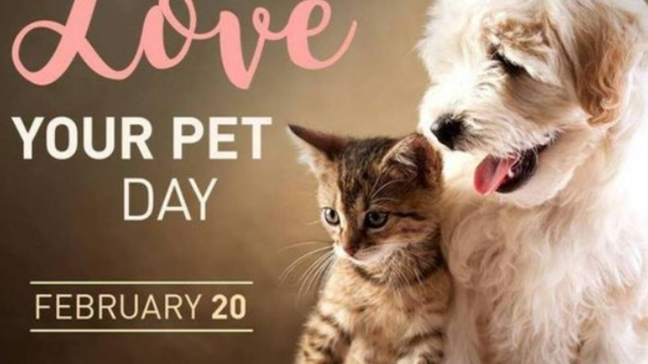 National Love Your Pet Day - February 20th