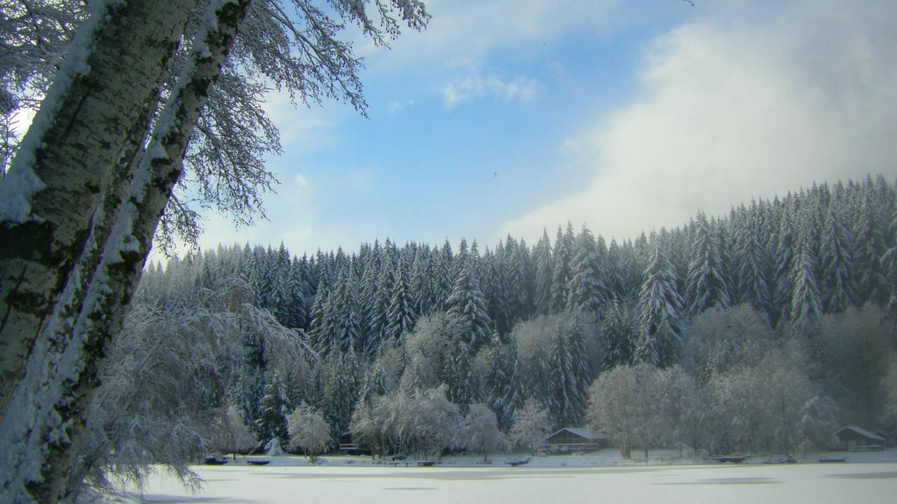 Fishhawk Lake Full Time Living in Winter
