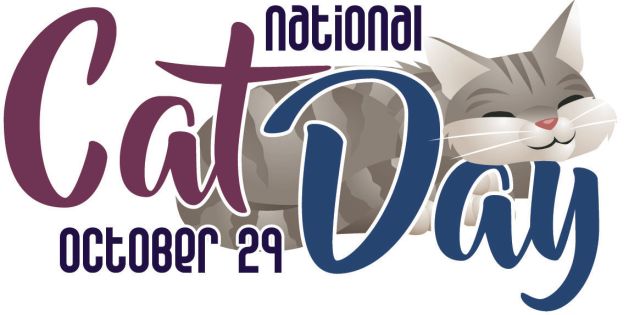 National Cay Day October 29th!