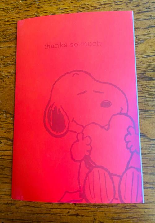 Throwback Thursday - Snoopy & The Red Baron