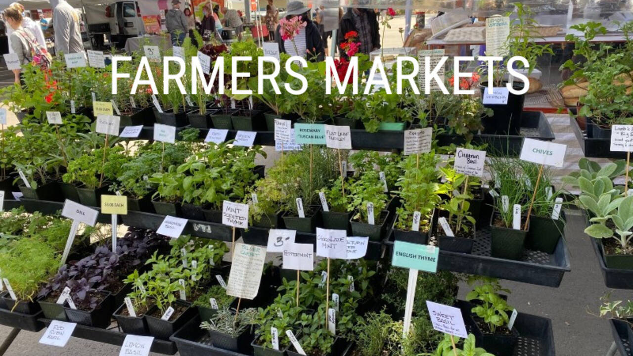 Farmers Markets in North San Diego County