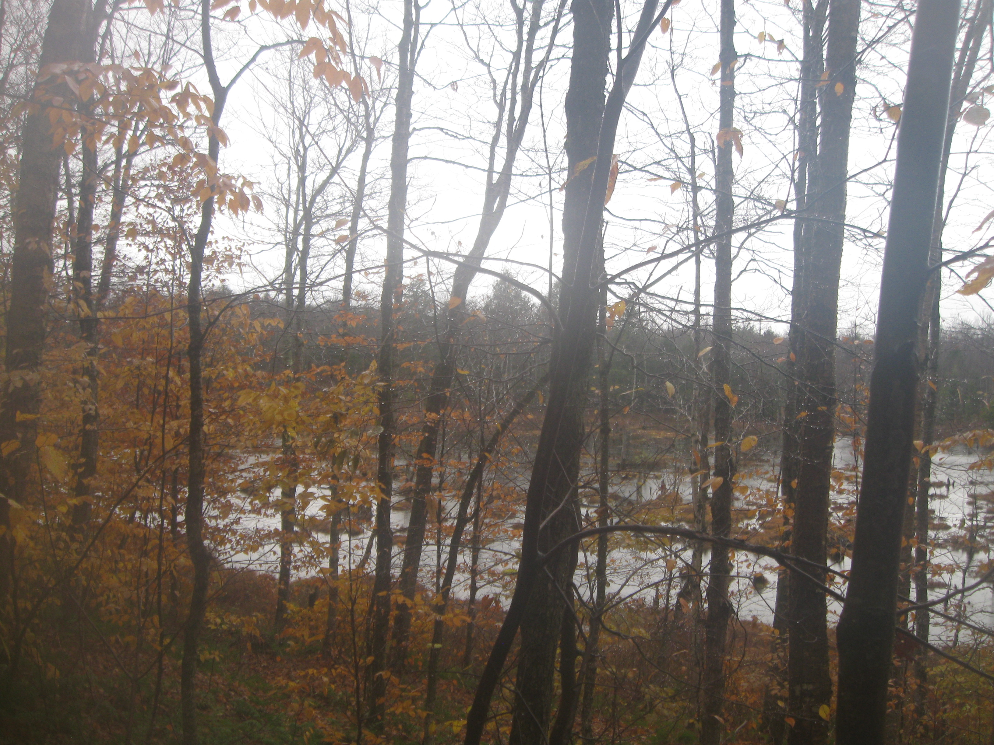 Waukesha County Wisconsin Forest Land Report April 2017