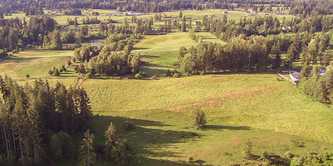 Beautiful Acre In Secluded Area!