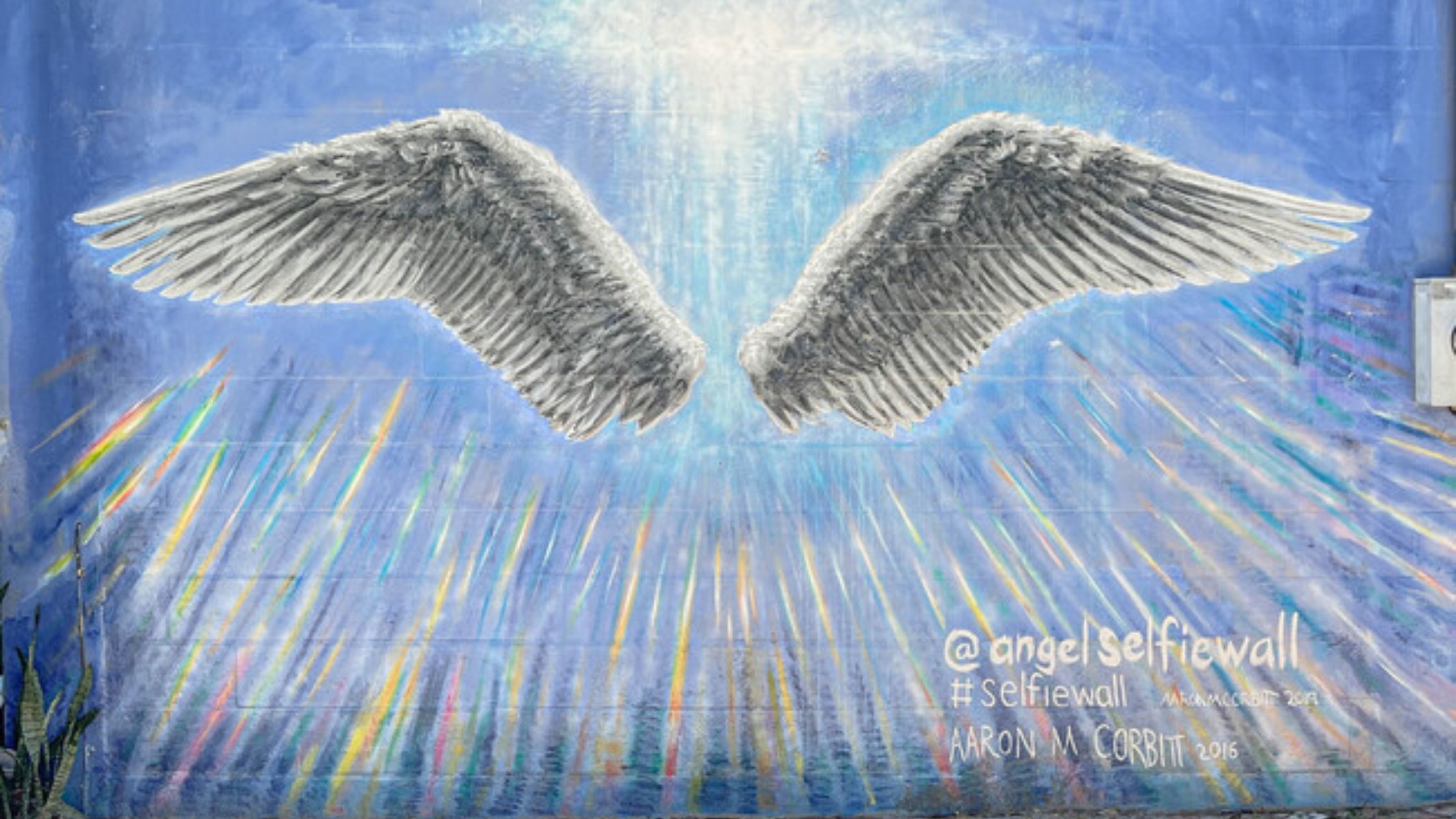 The Angel Selfie Wall