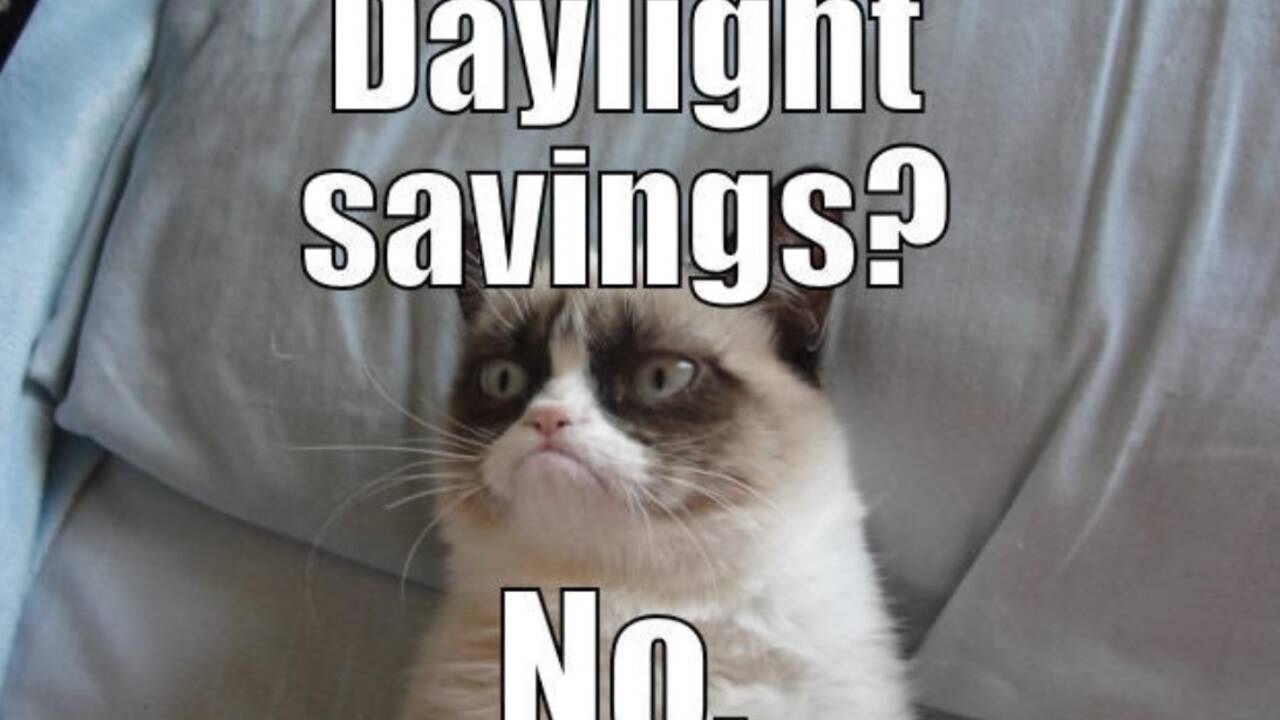 Daylight Saving Time? Grumpy Cat And I Both Say NO!