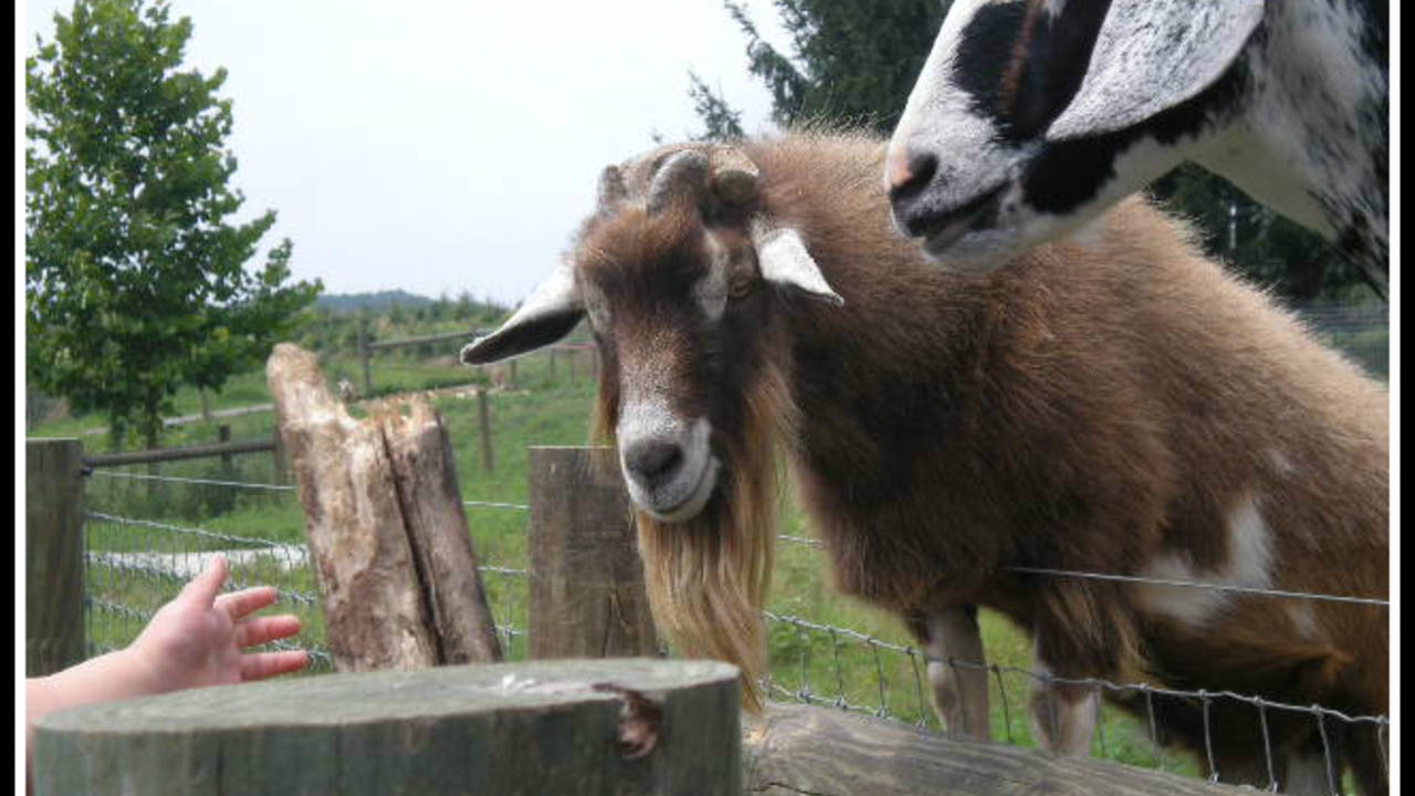 LINVILLA ORCHARDS, MEDIA, Delaware County, PA