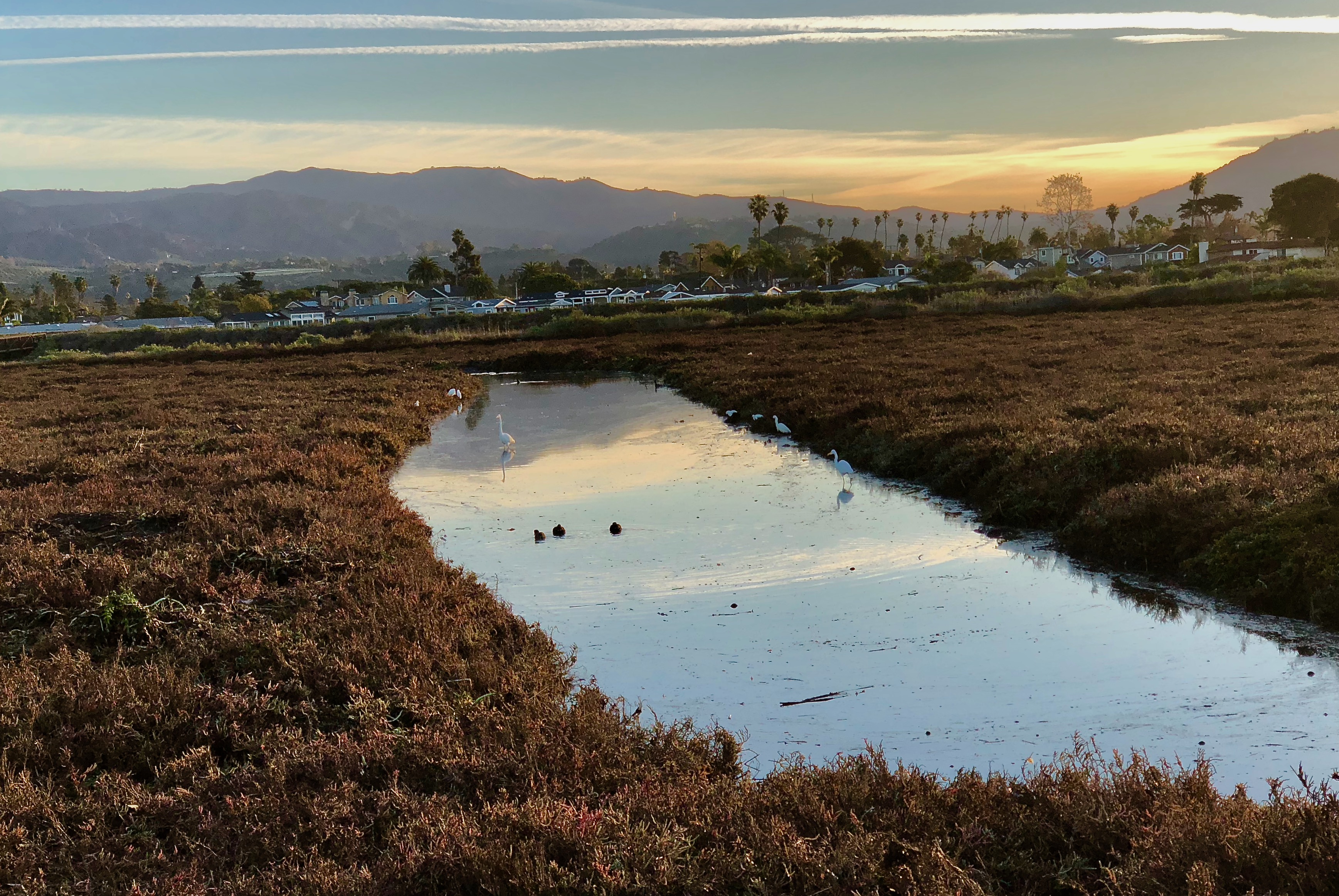 Saturday Smiles: Sunrise Over The Salt Marsh Reserves!