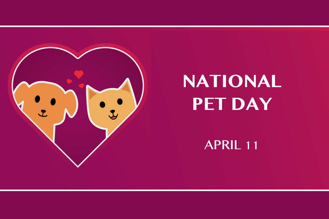Happy National Pet Day!