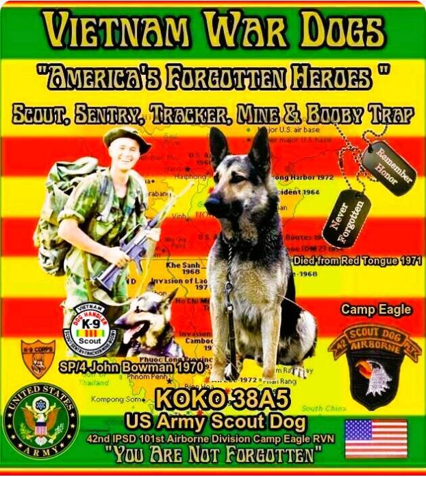 Vietnam War Dogs | Forgotten Heroes