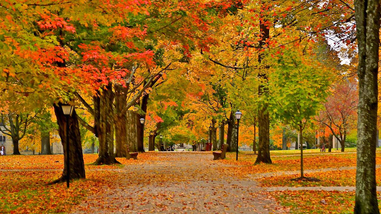 Fall Photo of Middle Path at Kenyon College in Gambier,