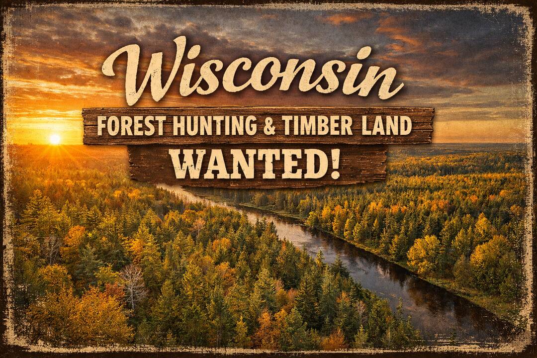 RUSK COUNTY WISCONSIN FOREST HUNTING & TIMBER LAND WANT