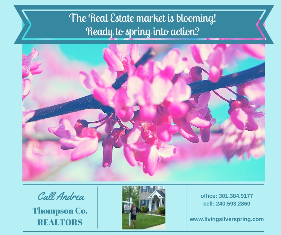 The Real Estate Market in Silver Spring, MD is blooming